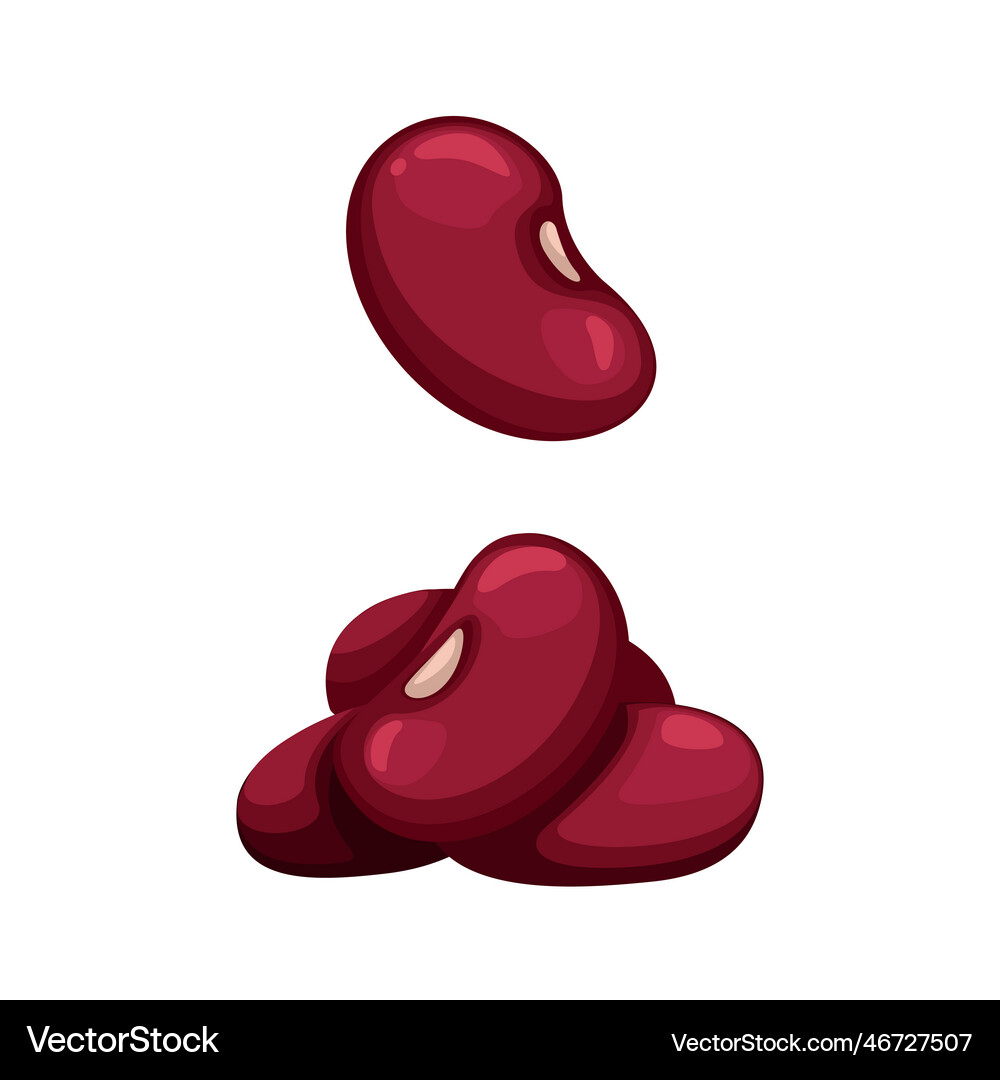Red beans or kidney beans vegetable symbol set Vector Image