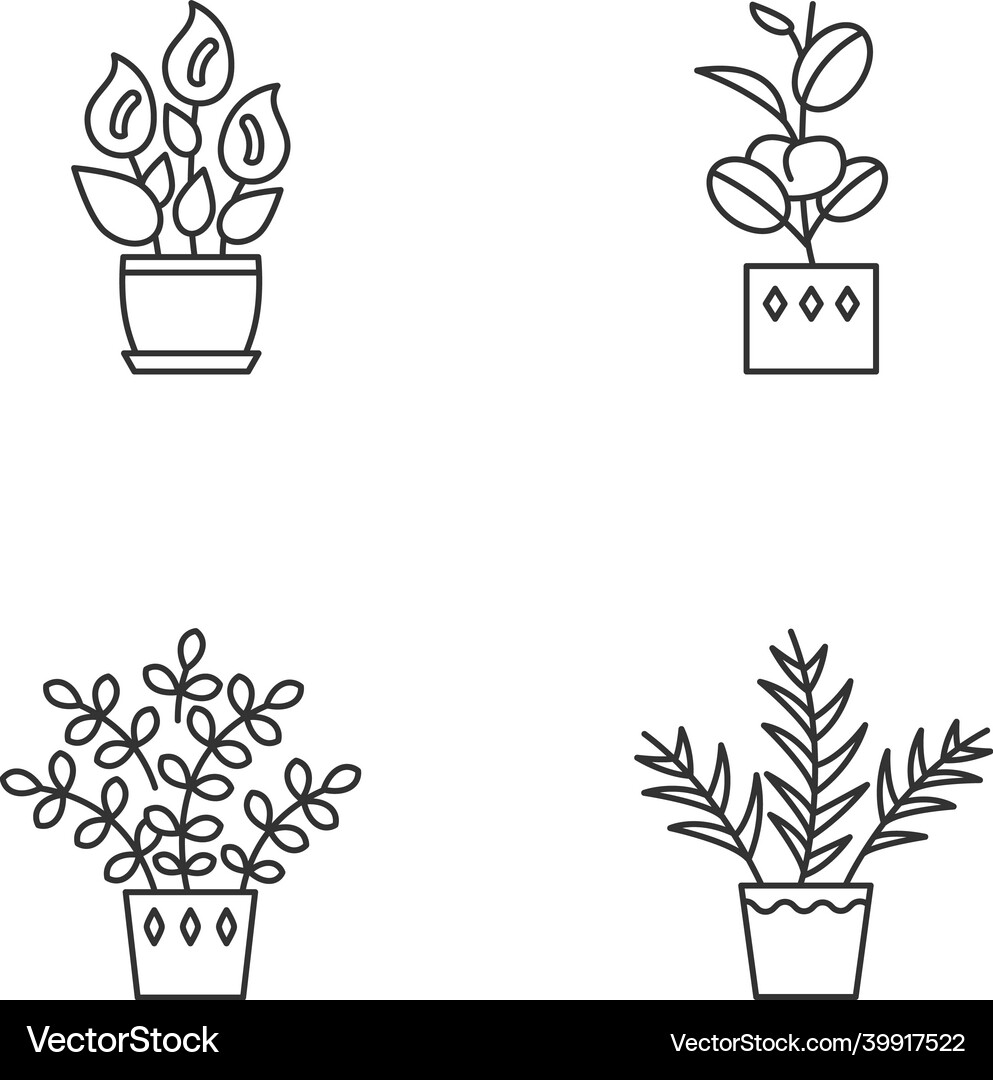 Indoor plants pixel perfect linear icons set Vector Image