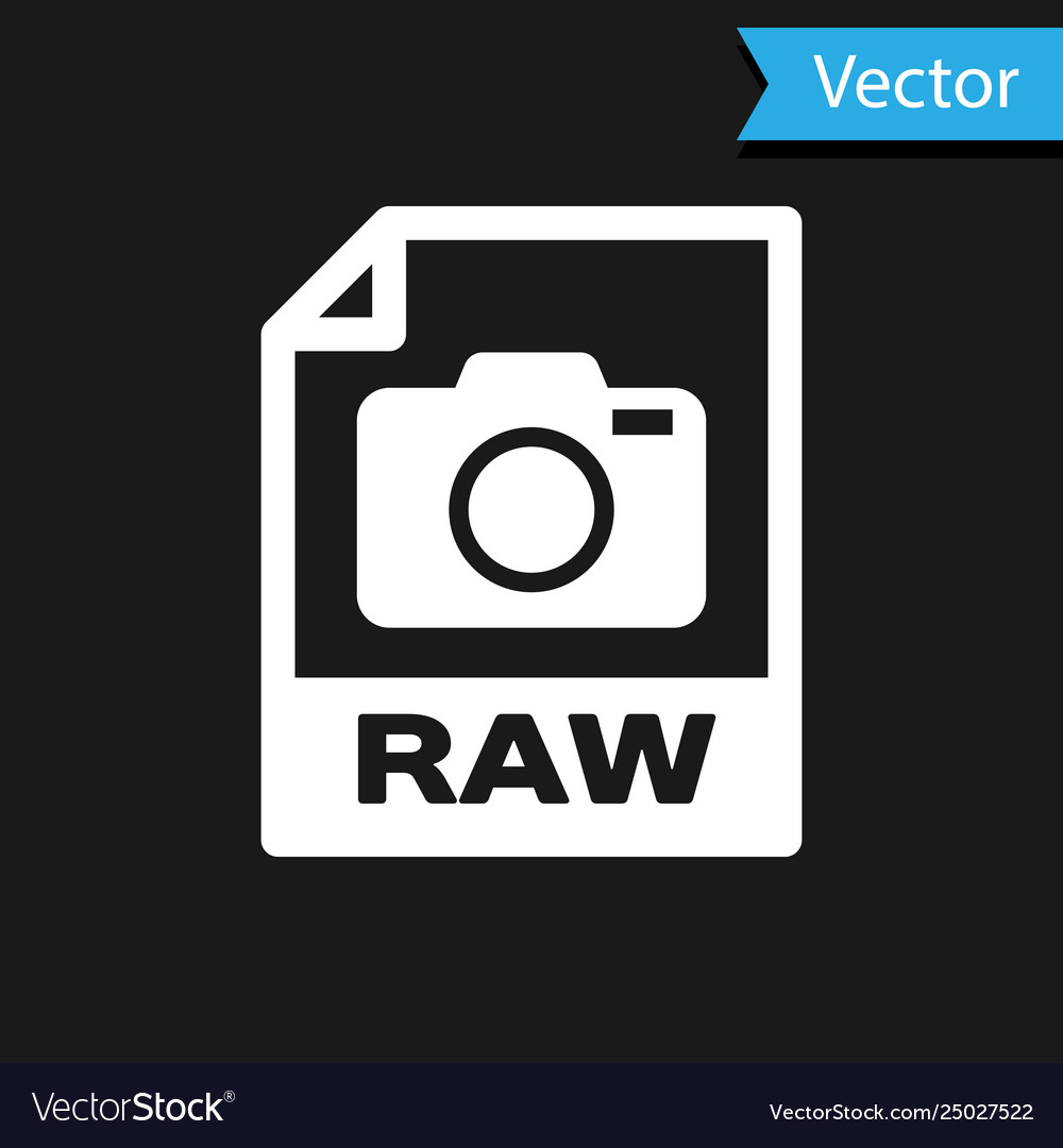 White raw file document icon download raw button Vector Image