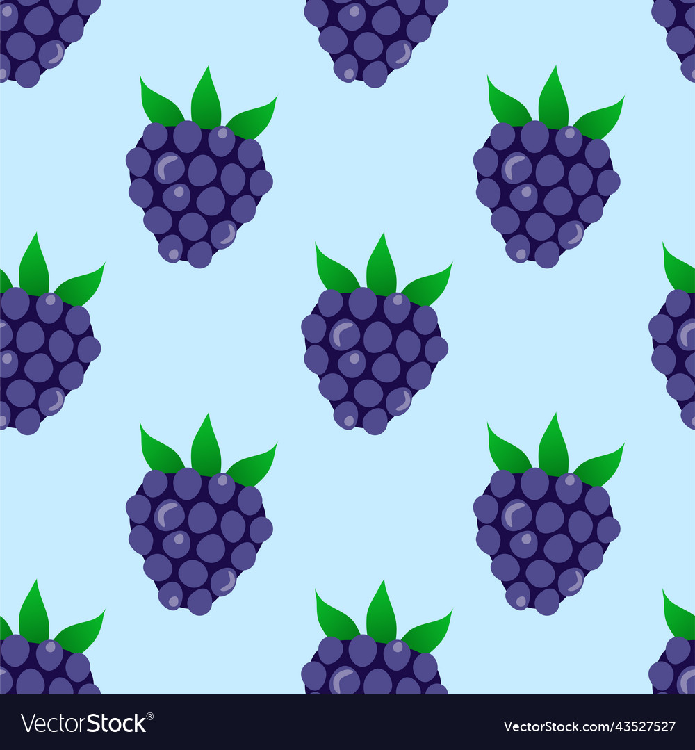 Blackberry pattern Royalty Free Vector Image - VectorStock