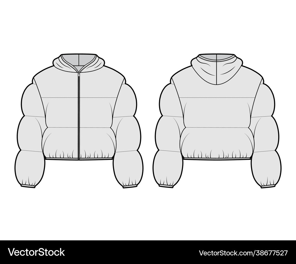Hooded jacket down puffer coat technical fashion Vector Image