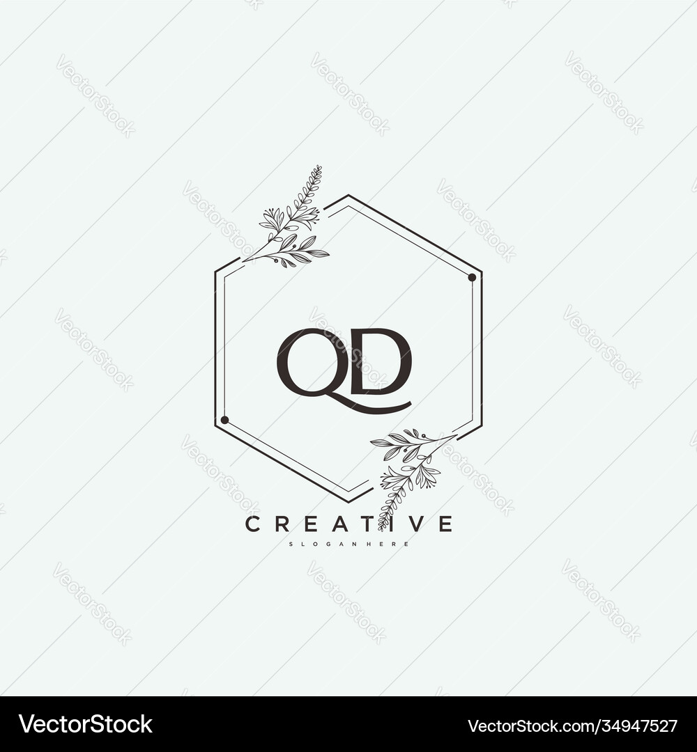 Qd beauty initial logo art handwriting logo Vector Image