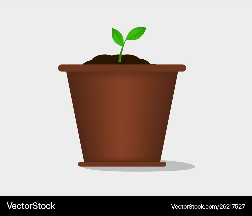 Seeding pot plant Royalty Free Vector Image - VectorStock