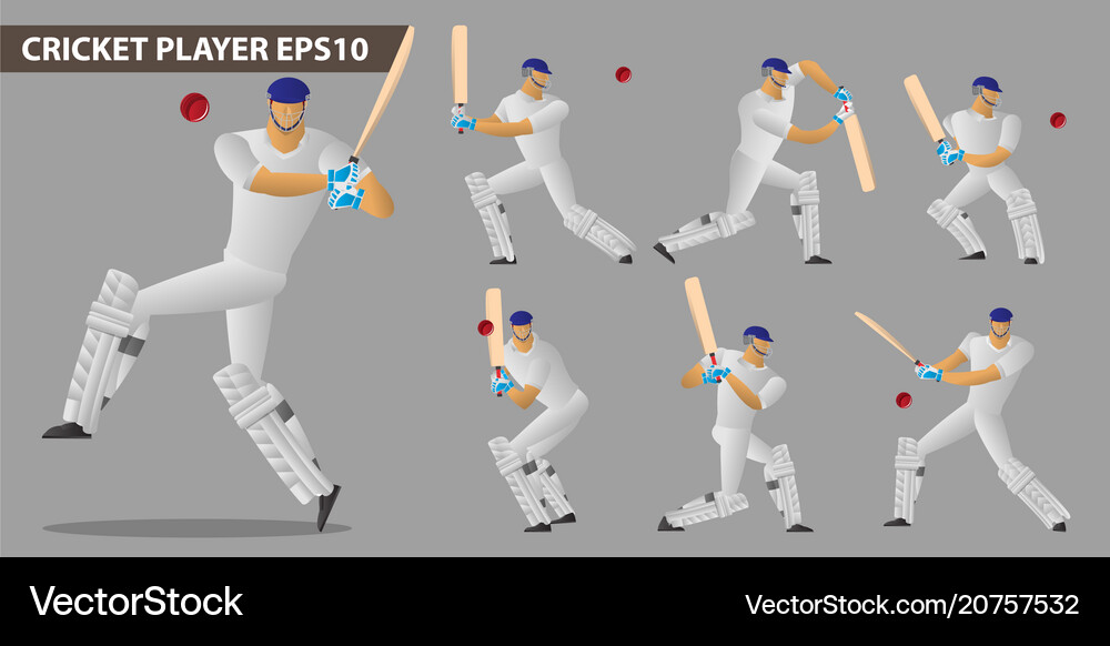 Concept a cricket players set Royalty Free Vector Image