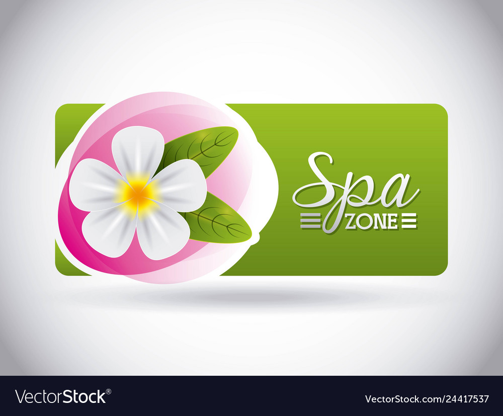 Spa zone Royalty Free Vector Image - VectorStock