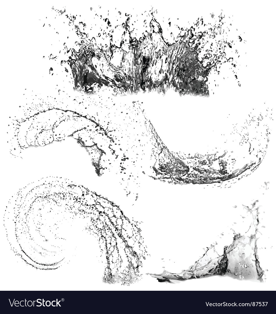 Splashes water Royalty Free Vector Image - VectorStock