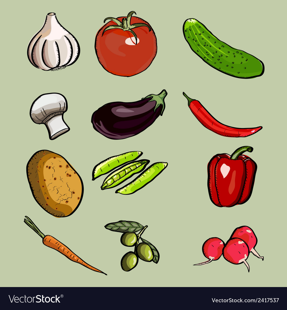 Vegetable set Royalty Free Vector Image - VectorStock