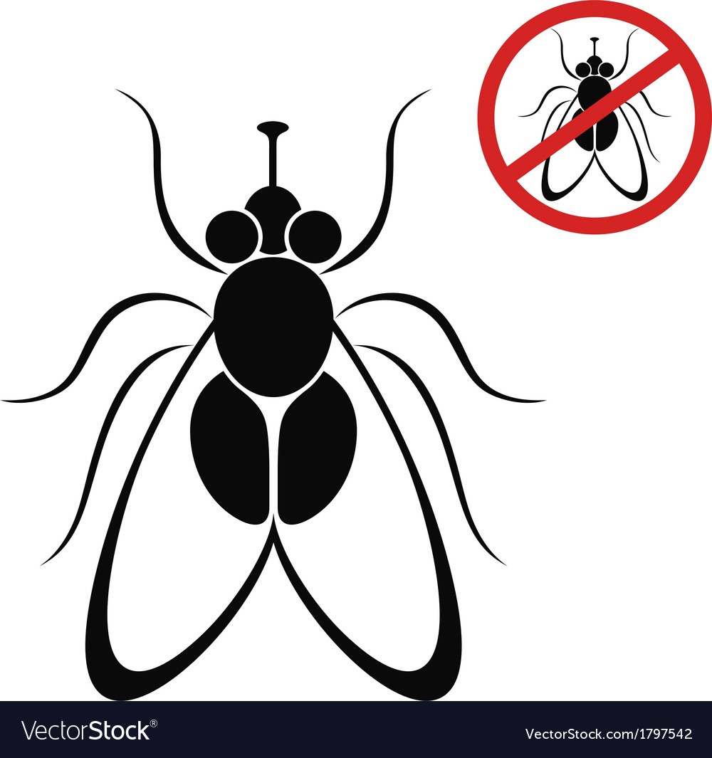 Fly Royalty Free Vector Image - VectorStock