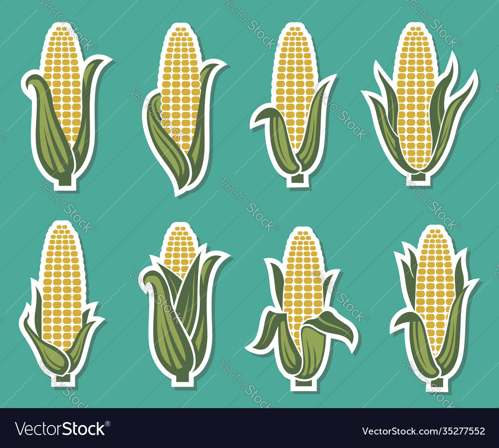 Corn icon set Royalty Free Vector Image - VectorStock