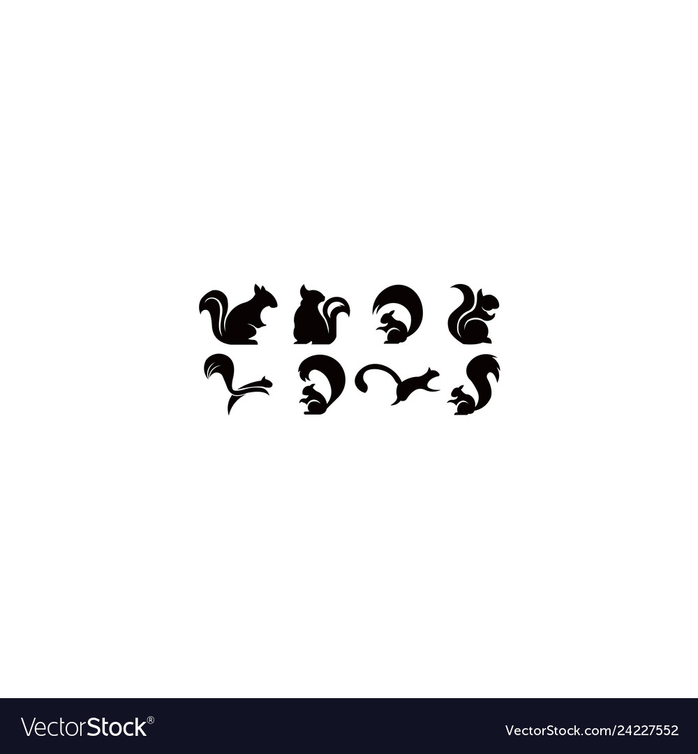 Squirrel icon Royalty Free Vector Image - VectorStock