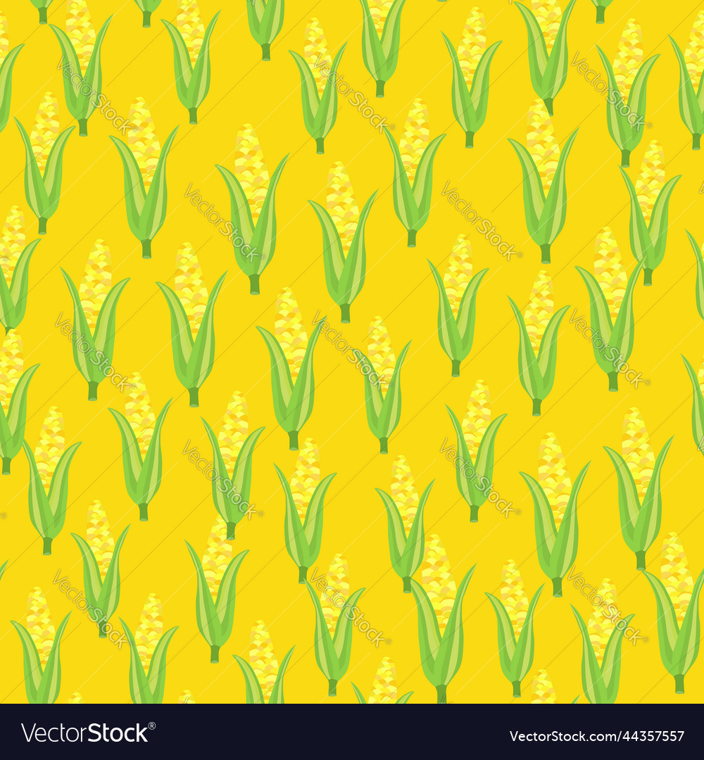 Corn plants seamless pattern cobs endless Vector Image