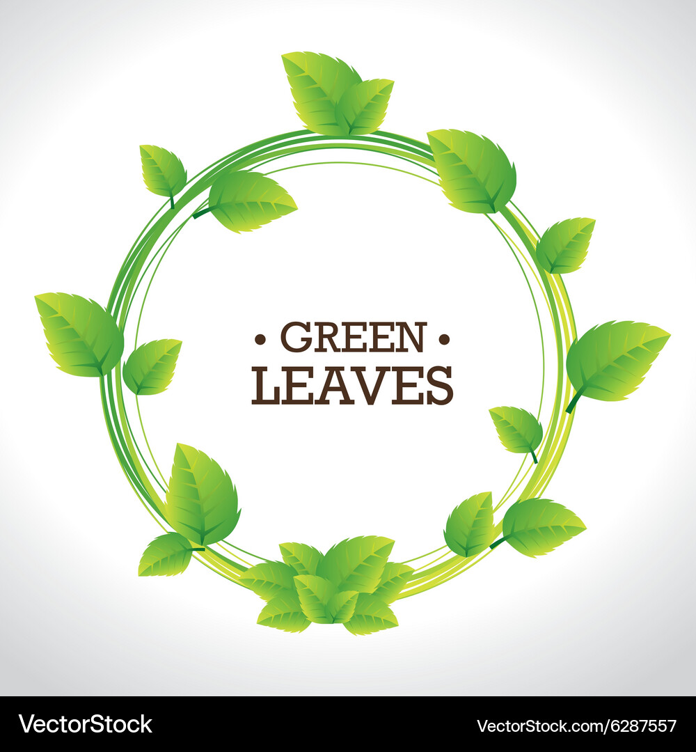Green nature and leaves design Royalty Free Vector Image