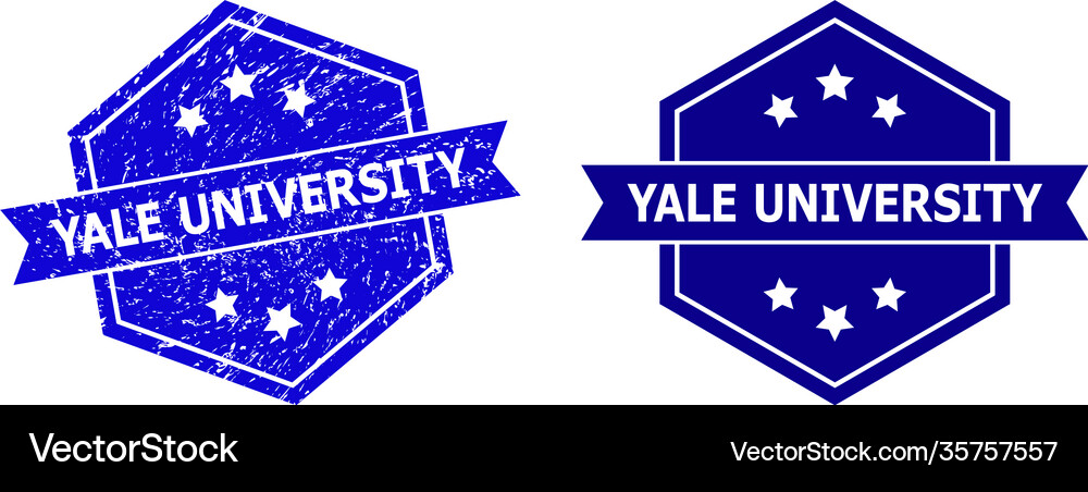Hexagon yale university seal with rubber style Vector Image