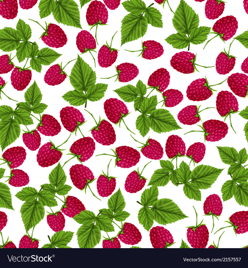 Raspberry seamless pattern Royalty Free Vector Image