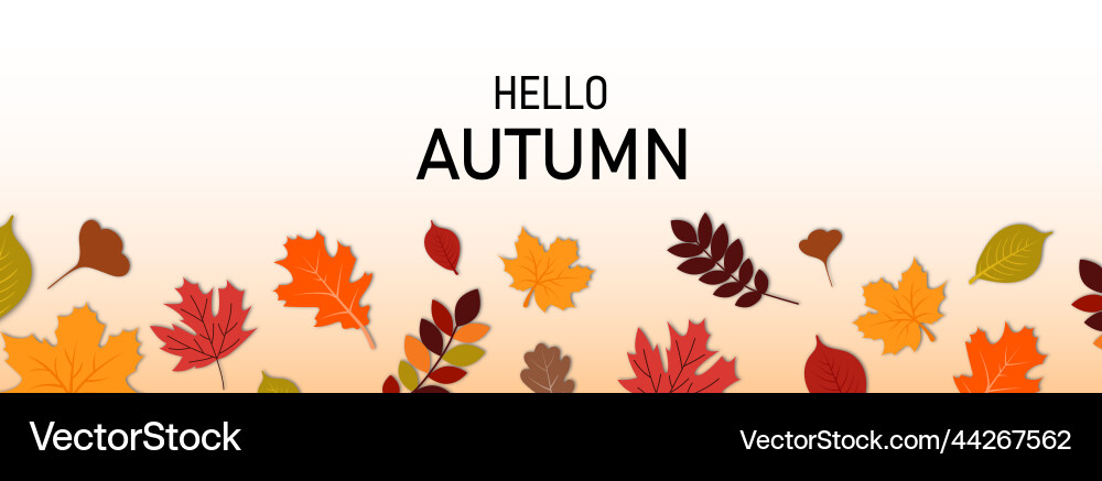 Autumn seasonal background Royalty Free Vector Image