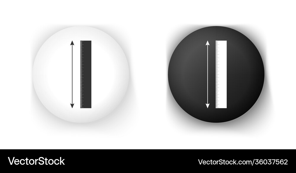 Black and white the measuring height length Vector Image