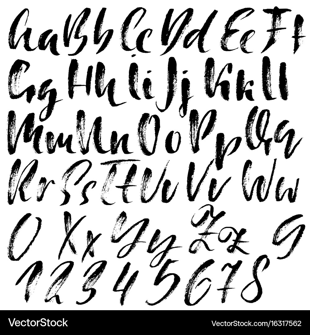Hand drawn dry brush font modern lettering Vector Image