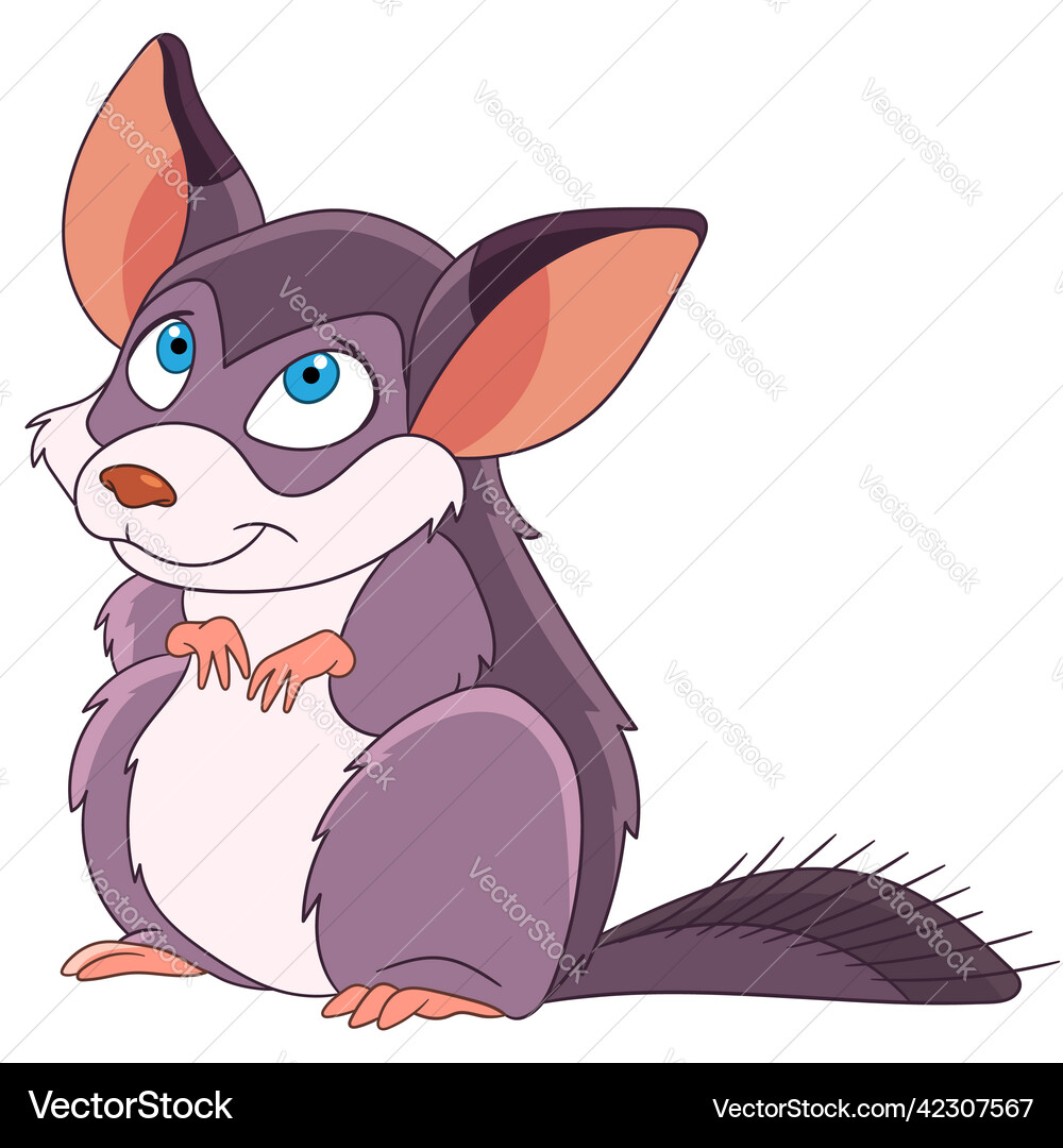 Cartoon chinchilla animal Royalty Free Vector Image