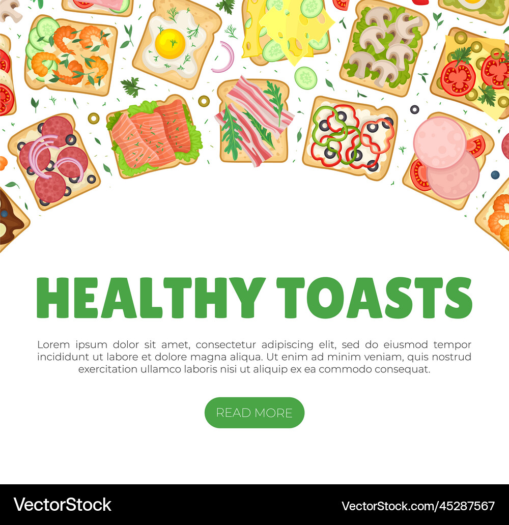 Healthy toasts web banner sandwiches Royalty Free Vector