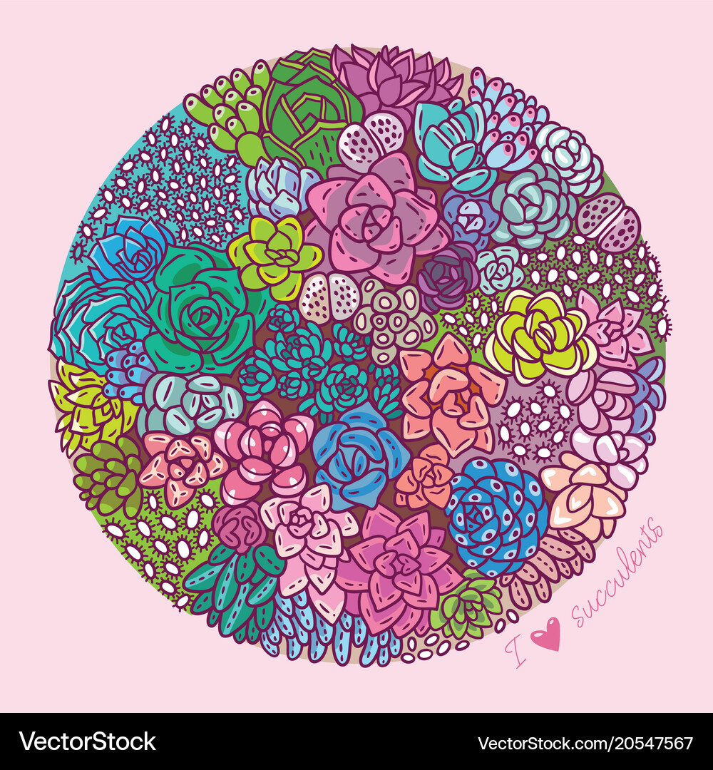 Succulent plants in circle hand drawn Royalty Free Vector