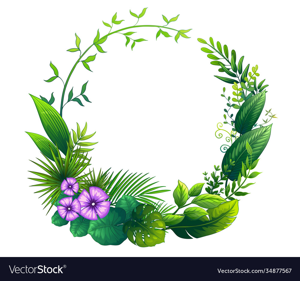 Various types leaf shapes Royalty Free Vector Image