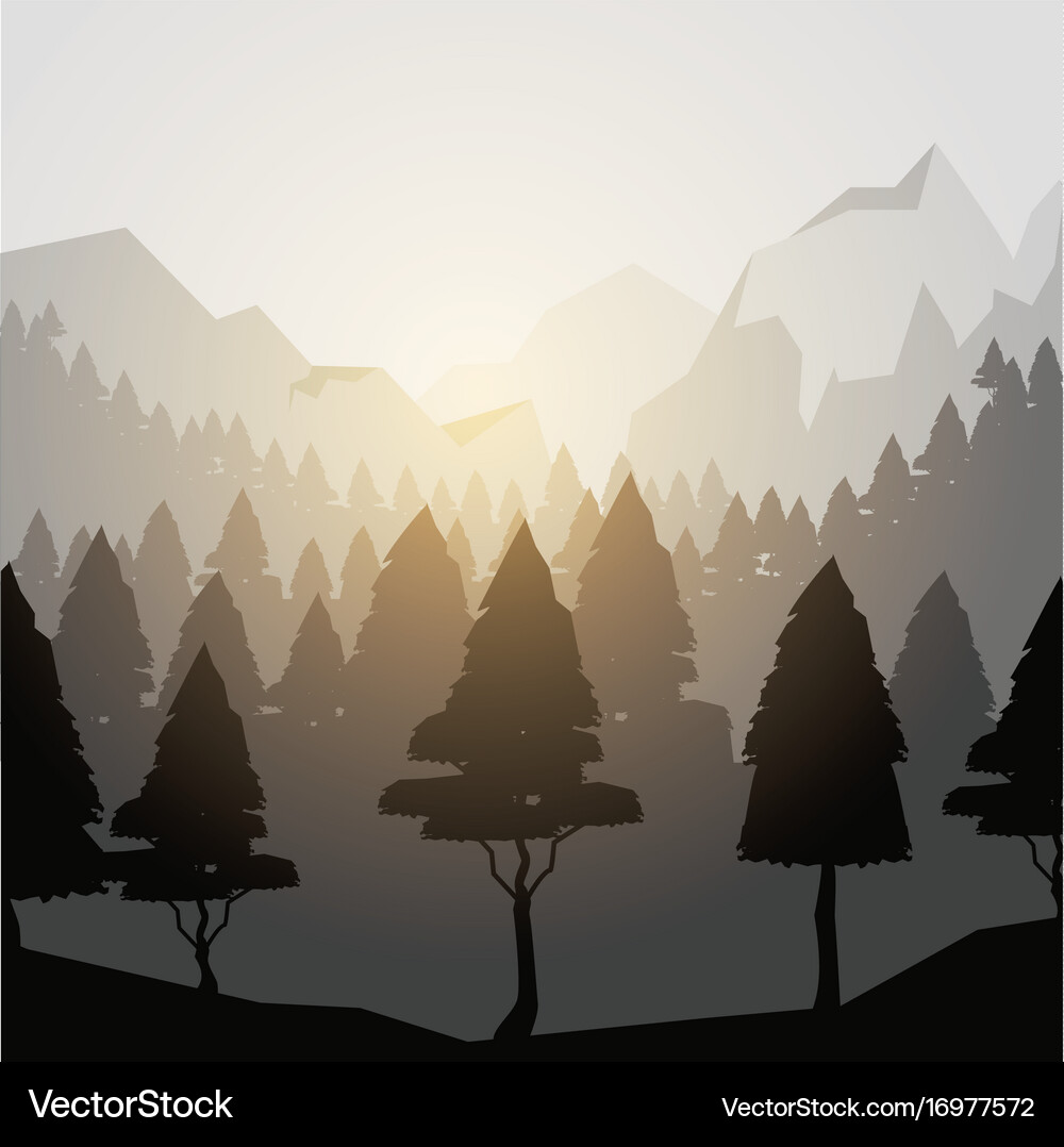 Colorful background with sunrise landscape Vector Image