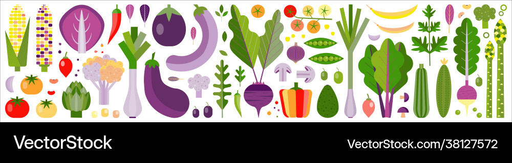 Fresh farm organic vegetables banner Royalty Free Vector