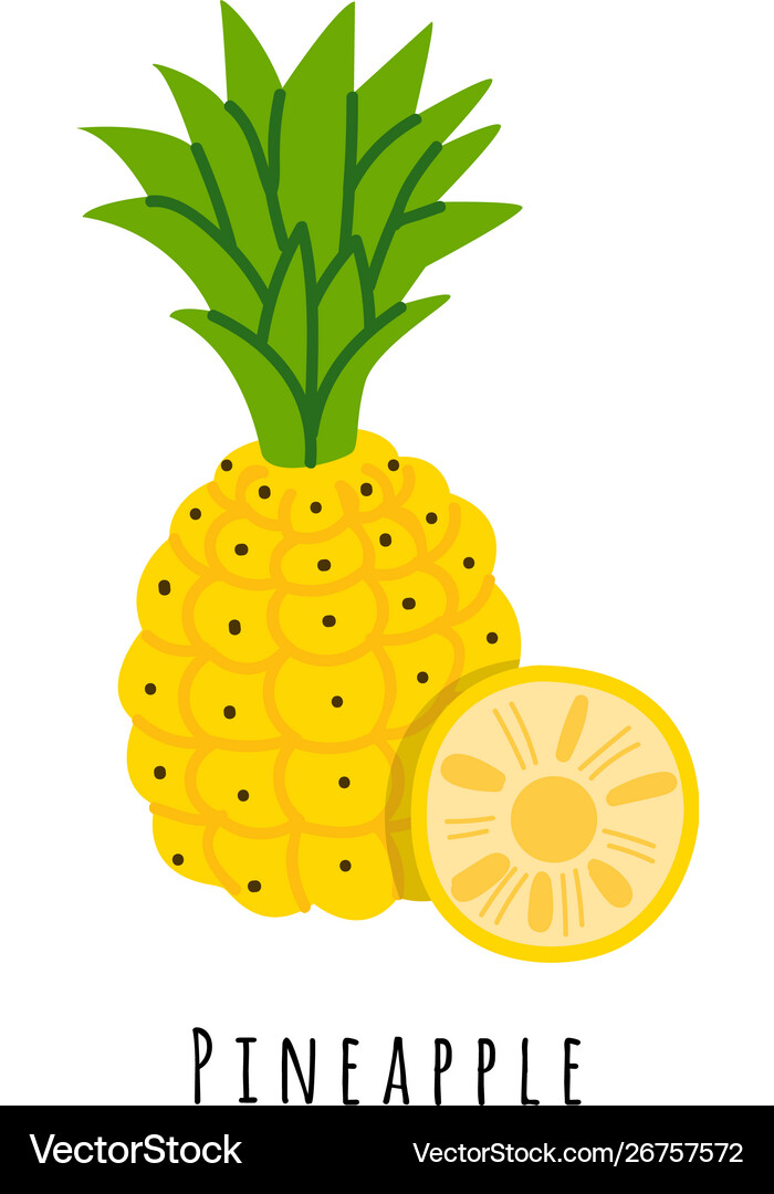 Pineapple fruit flat Royalty Free Vector Image