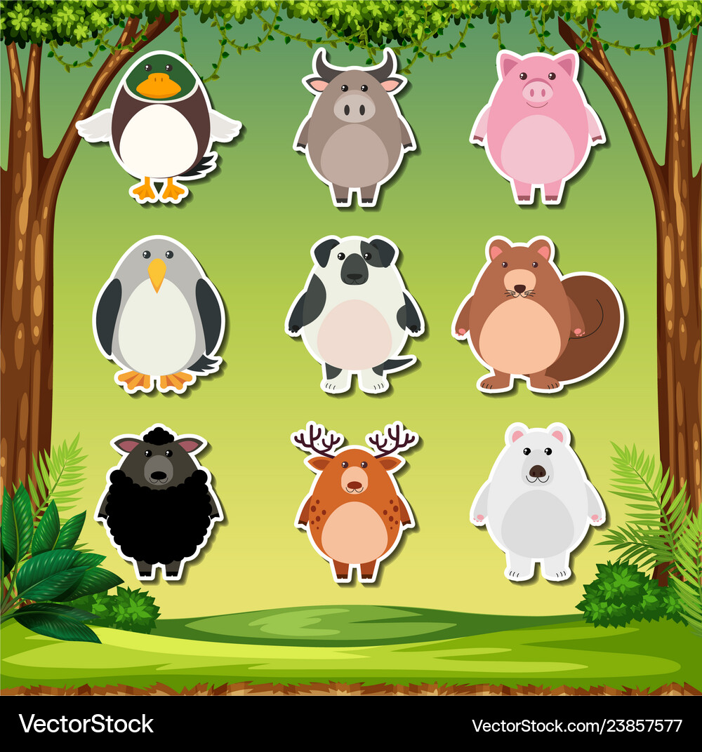 Set of animal stickers Royalty Free Vector Image