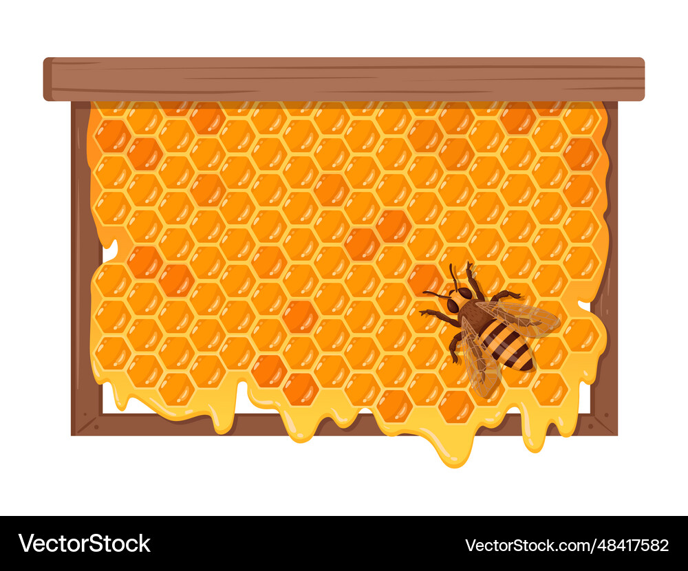 Bee with honeycomb cartoon sweet Royalty Free Vector Image