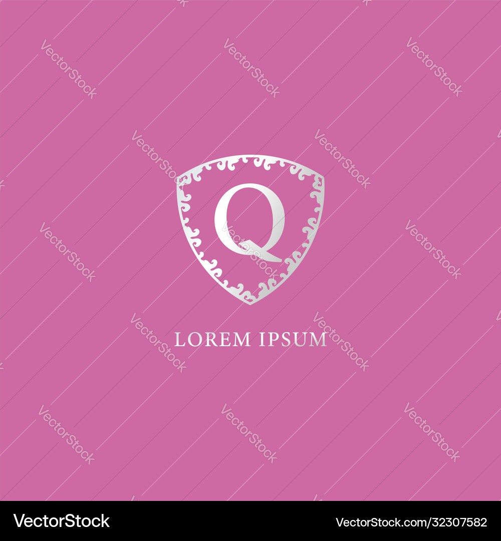 Q letter intial logo design template isolated Vector Image