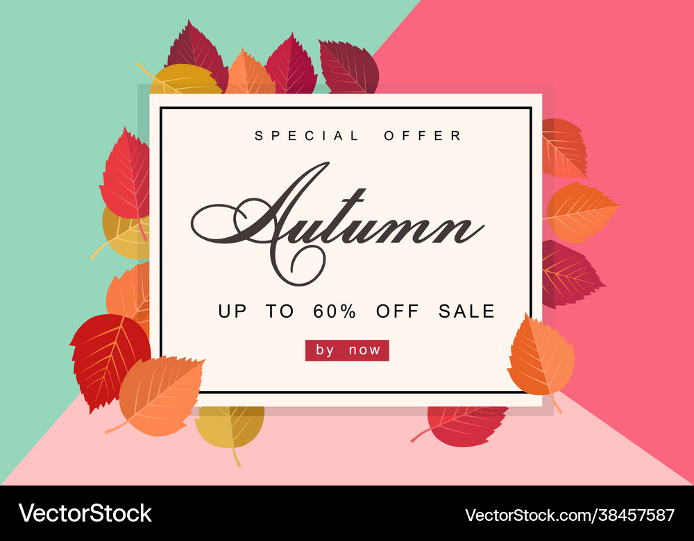 Autumn sale background template layouts Royalty Free Vector