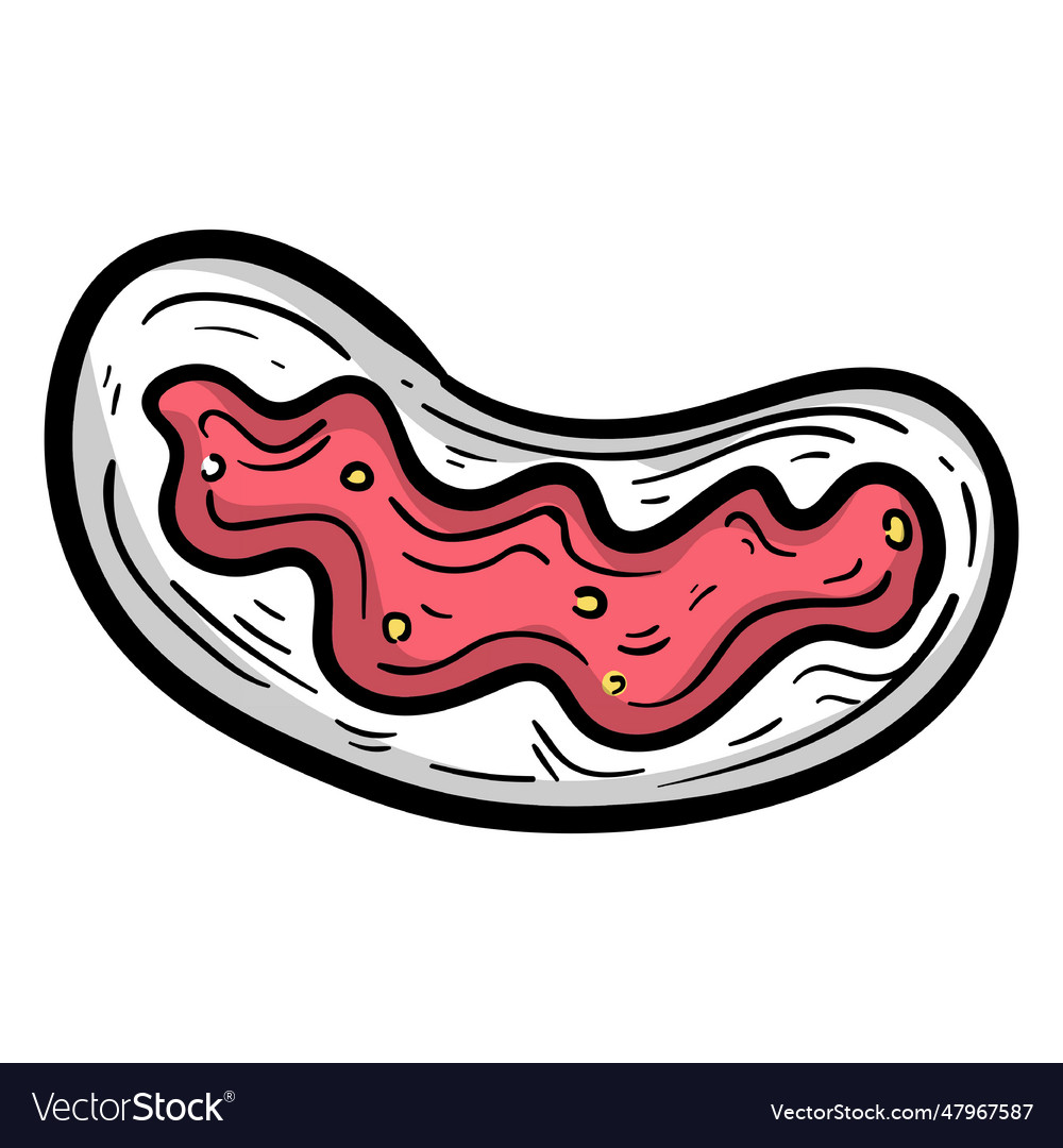 Cell flat Royalty Free Vector Image - VectorStock Cell flat Royalty Free Vector Image - VectorStock