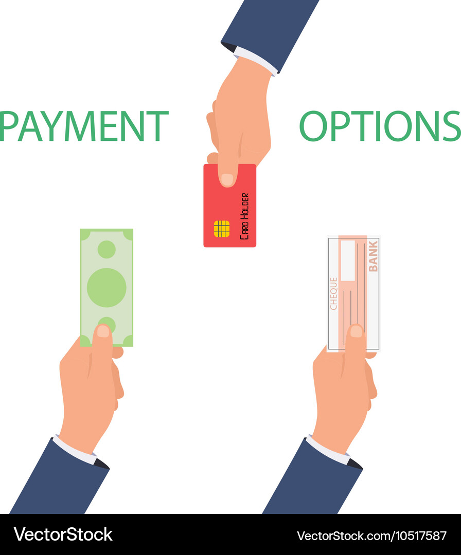 Concept of payment options in flat style Vector Image