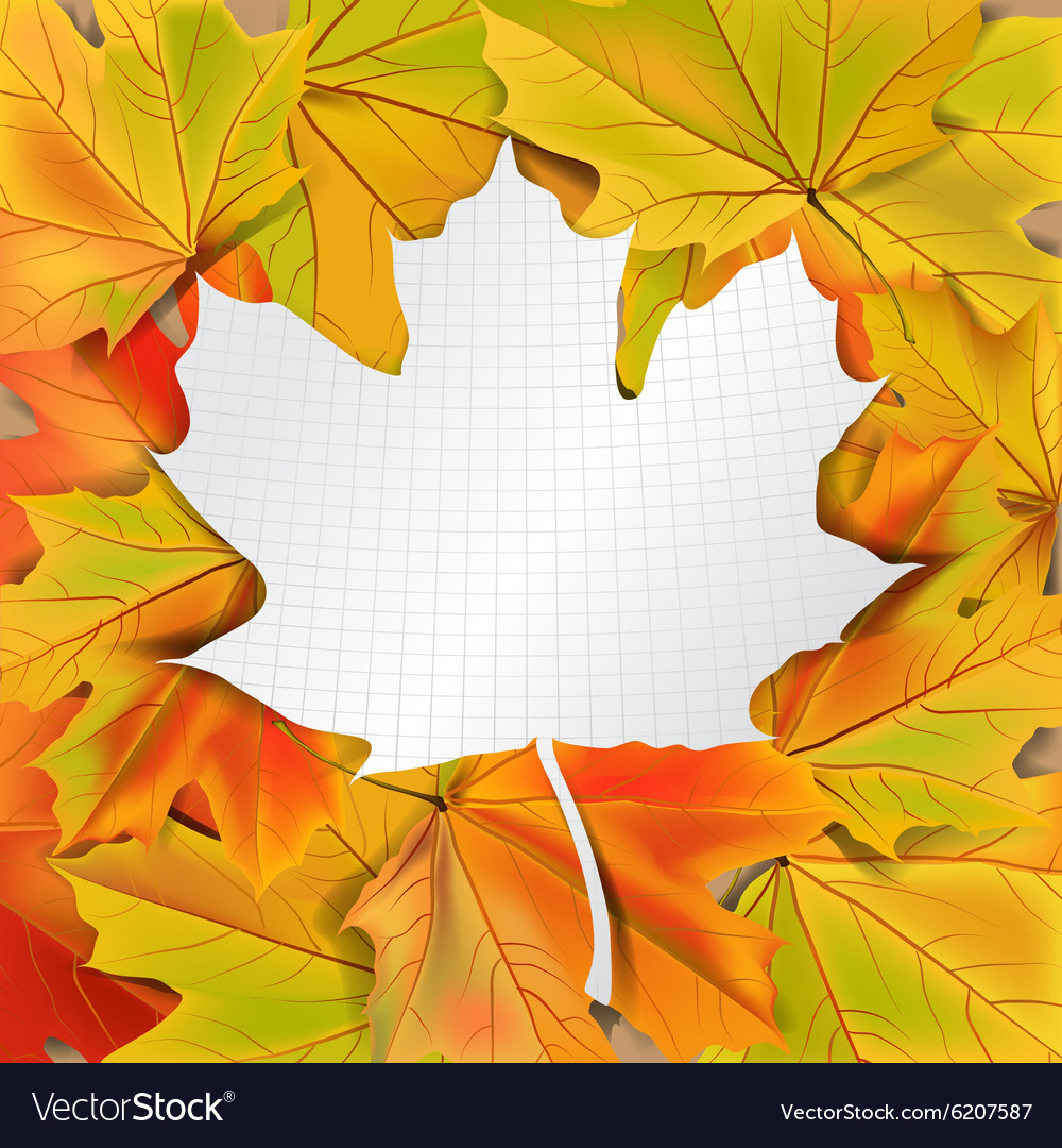 Leaf background Royalty Free Vector Image - VectorStock
