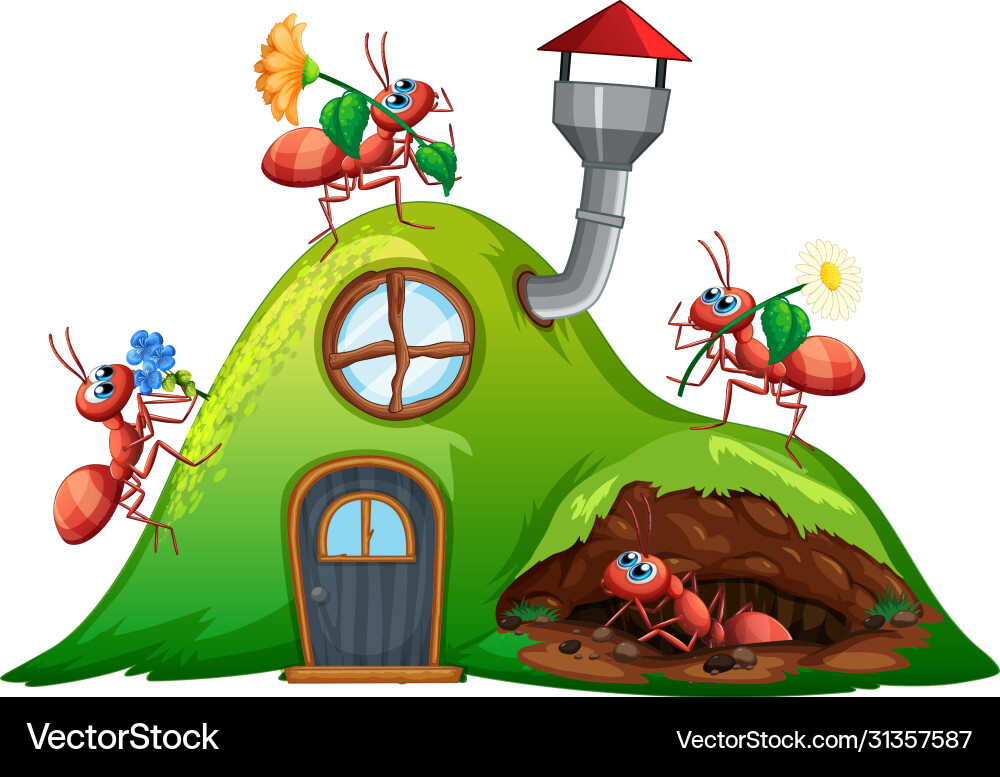 Scene with many ants on hill house Royalty Free Vector Image