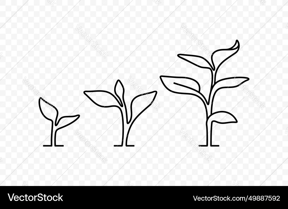 Line drawing of small tree growing design Vector Image