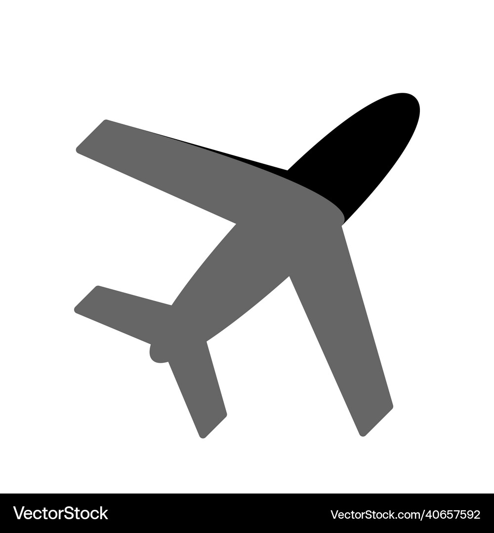 Plane Royalty Free Vector Image - VectorStock