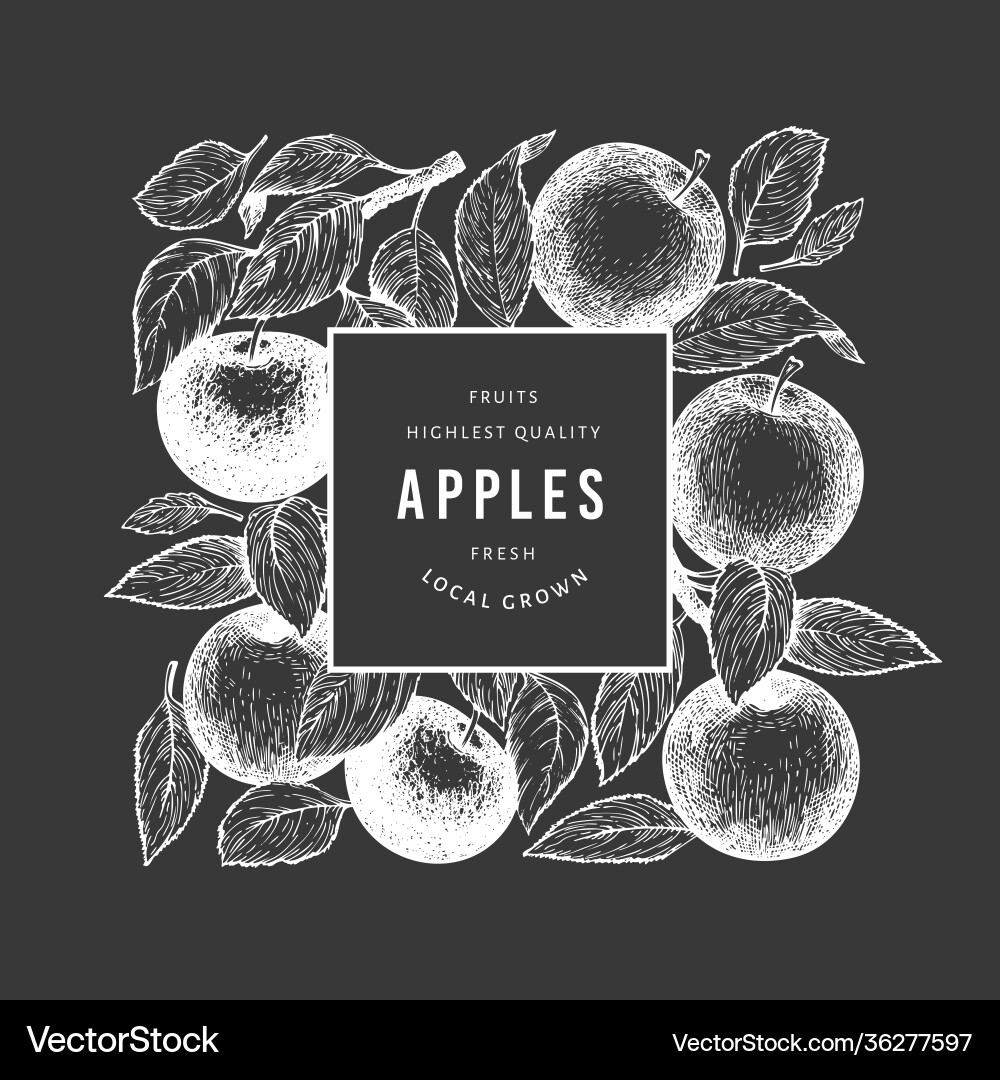 Apple branch design template hand drawn garden Vector Image