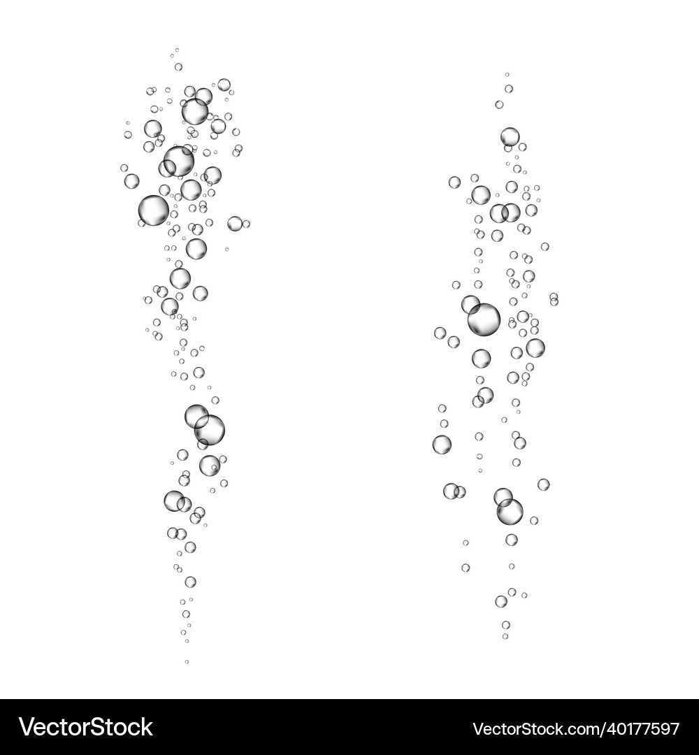Underwater fizzing air bubbles stream on white Vector Image