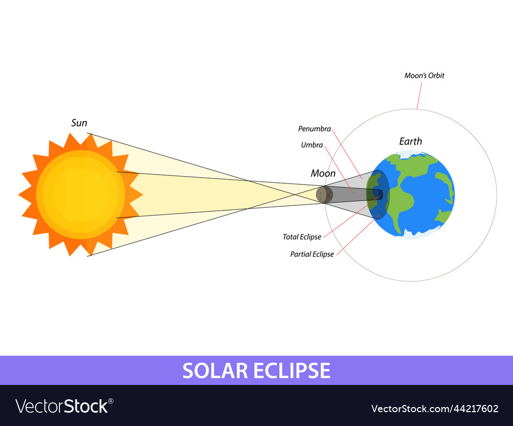 Diagram showing solar eclipse on earth Royalty Free Vector