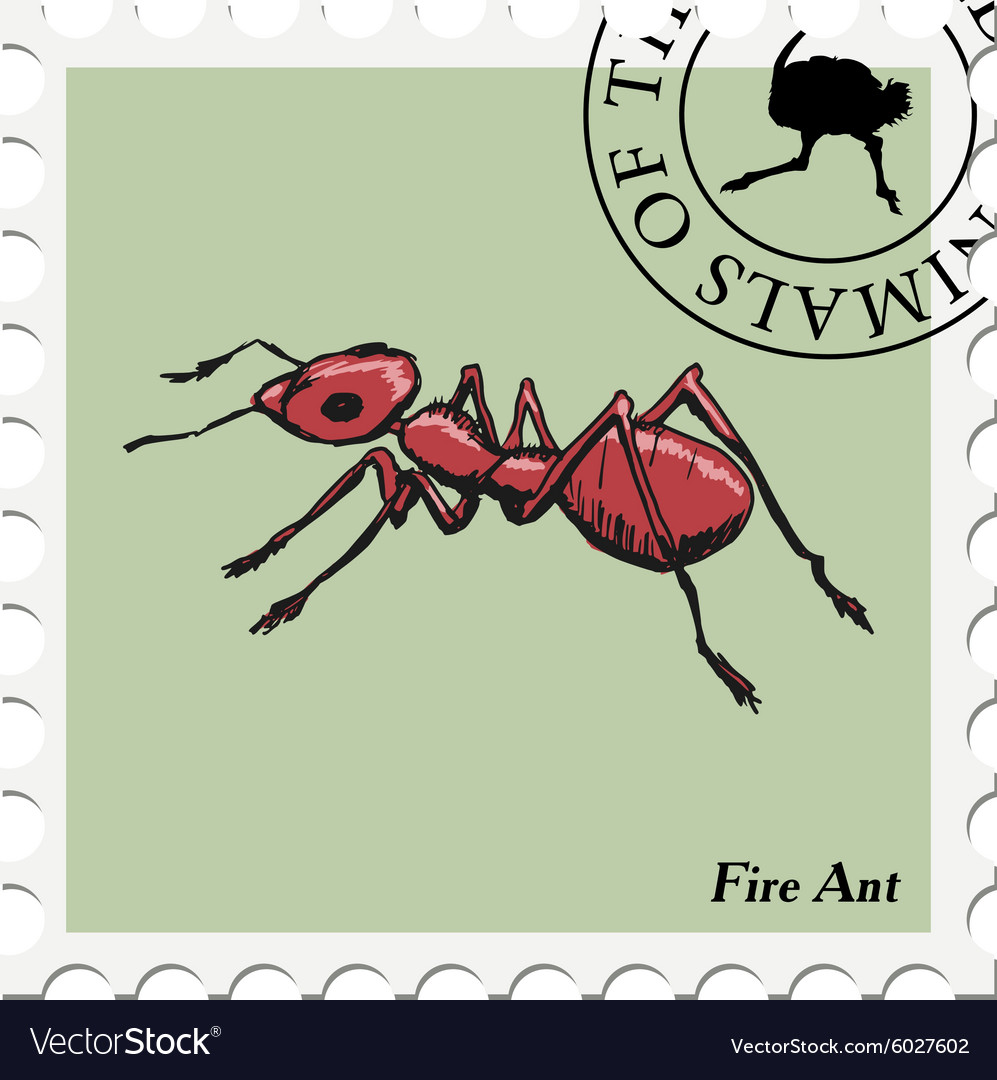 Fire ant Royalty Free Vector Image - VectorStock