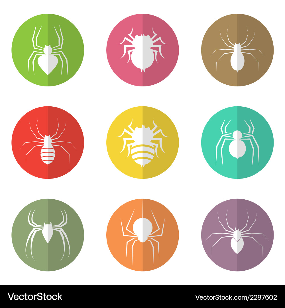 Group of spider in the circle Royalty Free Vector Image