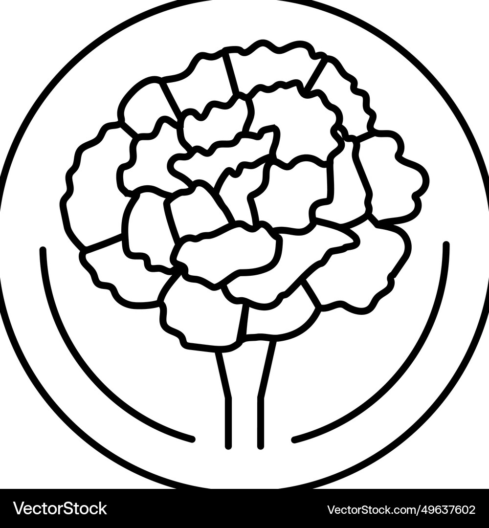 Marigold cosmetic plant line icon Royalty Free Vector Image