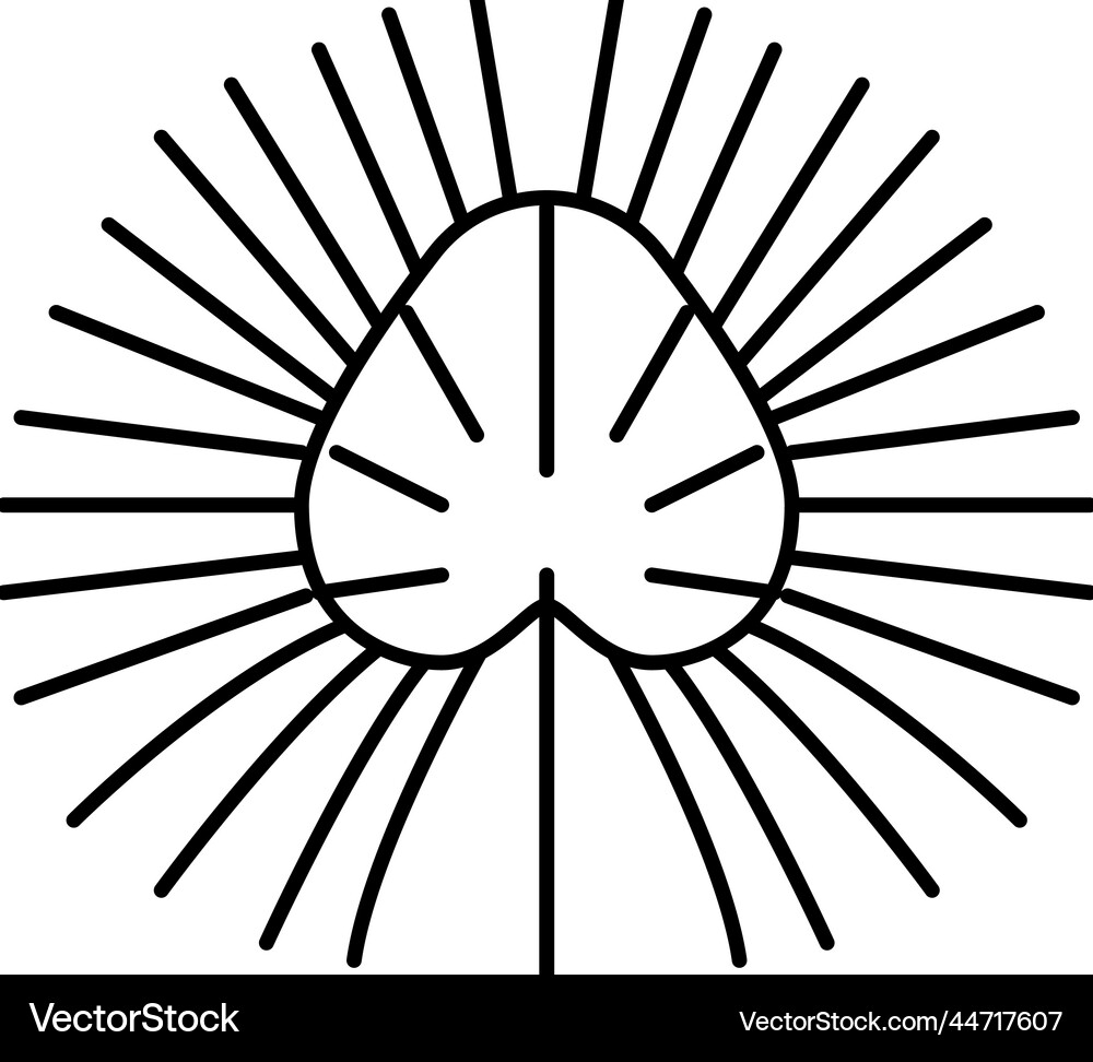 Chinese fan palm line icon Royalty Free Vector Image
