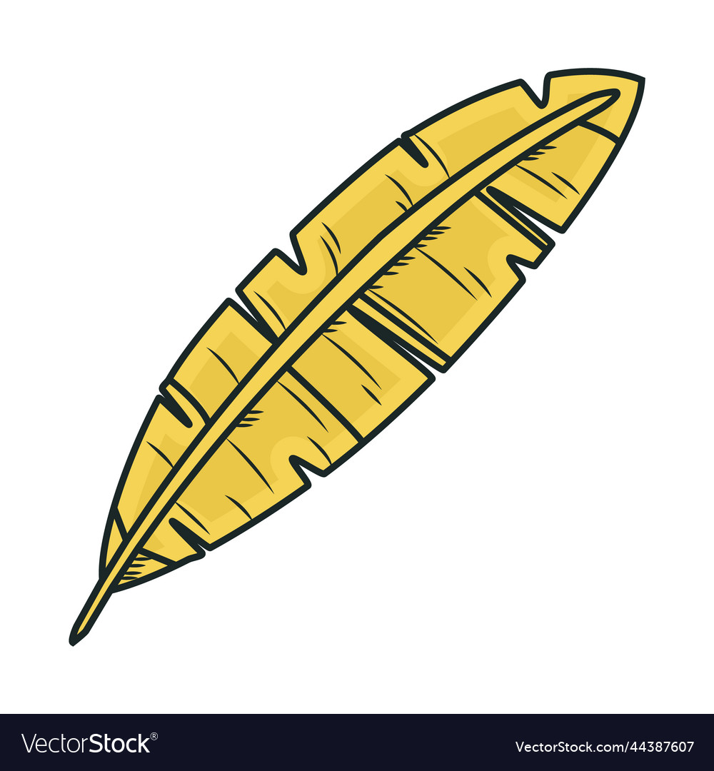 Feather icon image Royalty Free Vector Image - VectorStock