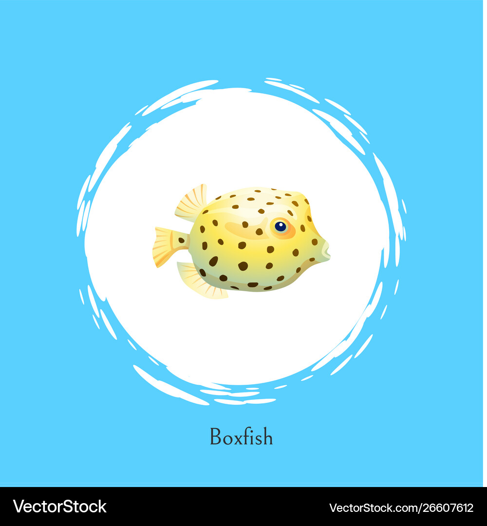 Boxfish animal poster set Royalty Free Vector Image