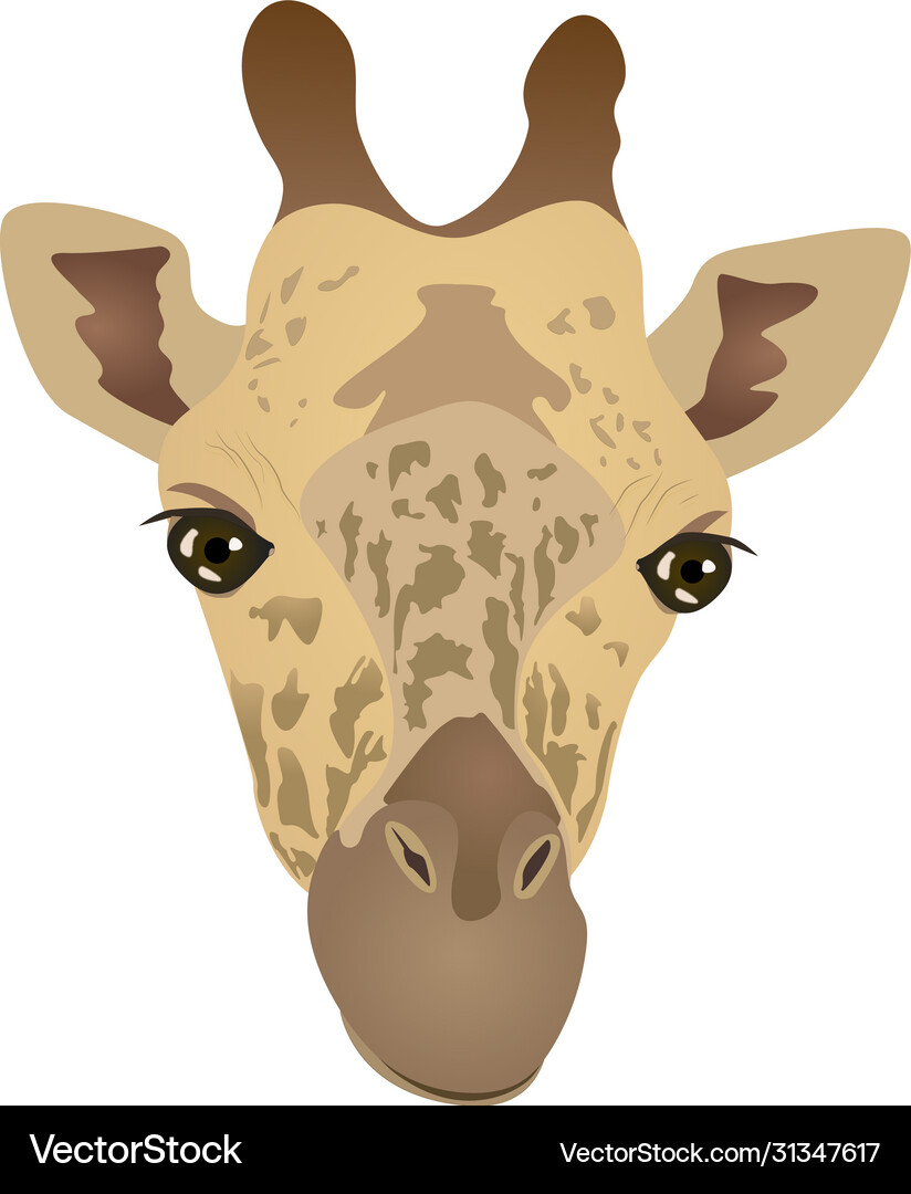 Giraffe Royalty Free Vector Image - VectorStock