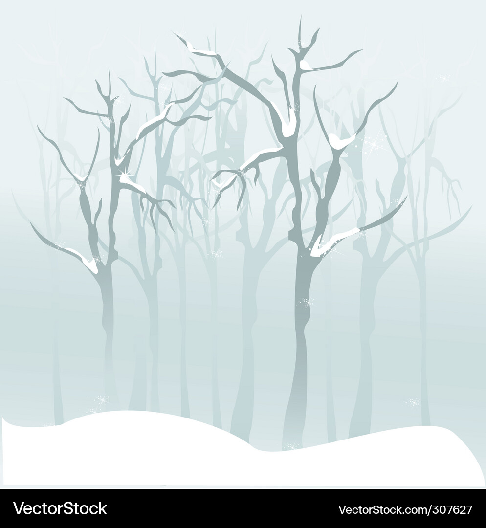 Forest snow Royalty Free Vector Image - VectorStock