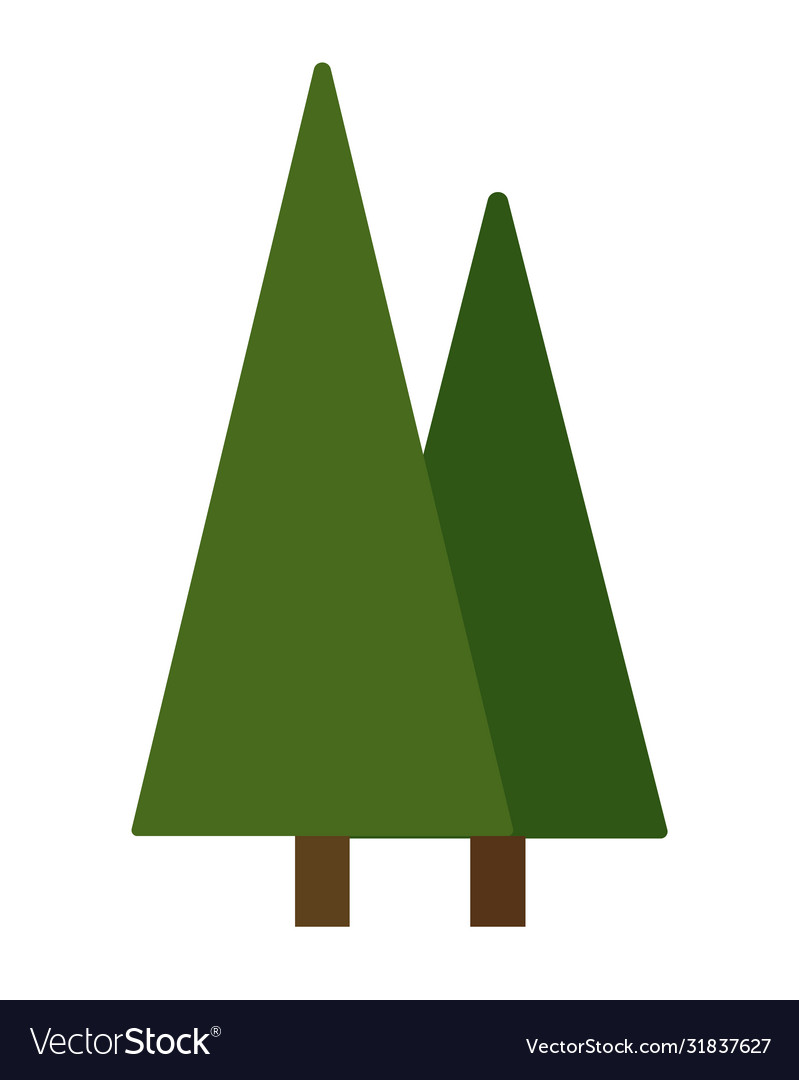 Green conifer tree icon isolated on white Vector Image